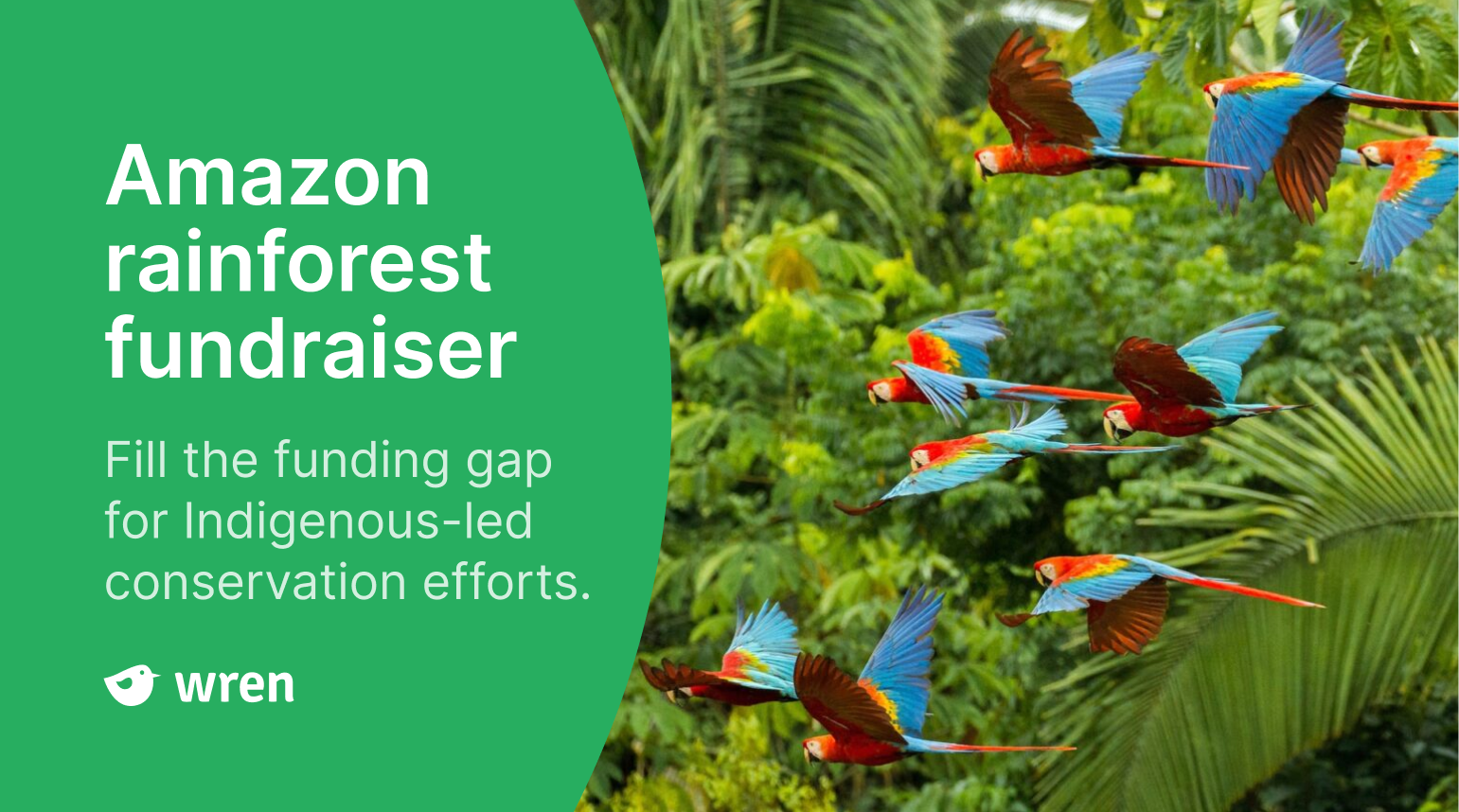 Help the Amazon rainforest overcome funding shortfalls
