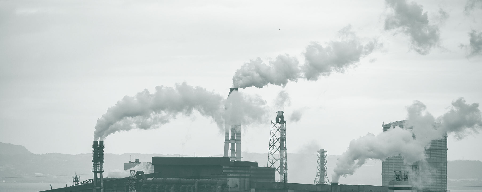 Clean Air Task Force | Wren