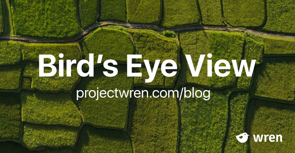 Wren | Bird’s Eye View